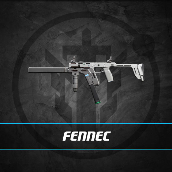 Fennec Boosting - Guardian Boost | #1 Boosting, Carry & Recovery Service